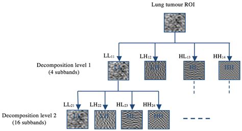 A Two Level Wavelet Packet Transform Decomposition For An Extracted Download Scientific Diagram