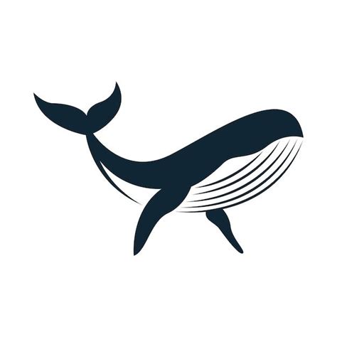 고래 아이콘 로고 일러스트 템플릿 프리미엄 벡터 Whale Illustration Whale Pictures Logo Illustration