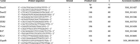 Mouse Oligonucleotide Primers Used For Quantitative Real Time Rt Pcr Download Table