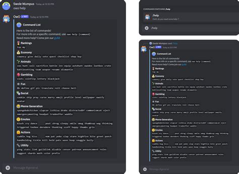 How To Use Discord Bots