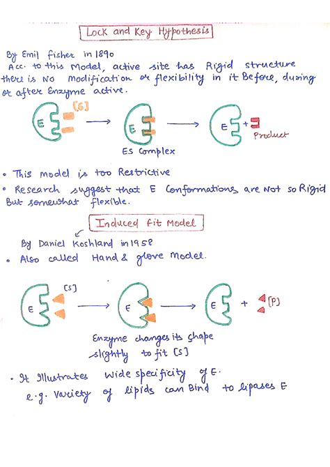 Enzyme Handwritten Notes Enzymology Studocu