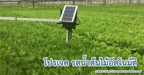 โปรเจคเครื่องรดน้ำต้นไม้อัตโนมัติ ด้วย Arduino
