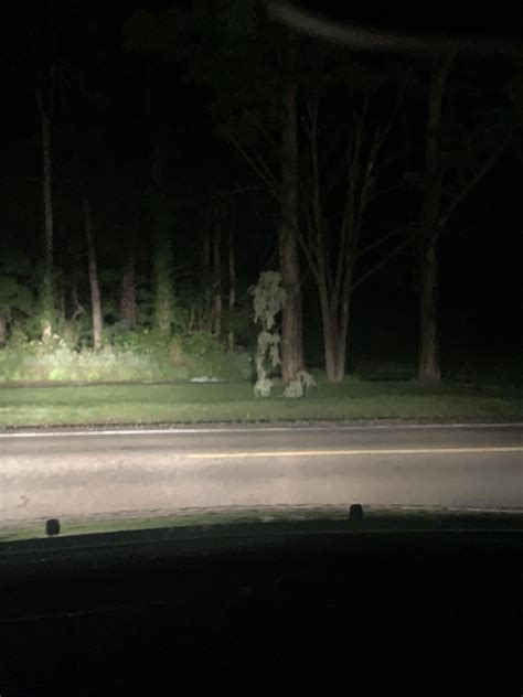 These Low Hanging Tree Branches Resemble A Person R Mildlyinteresting