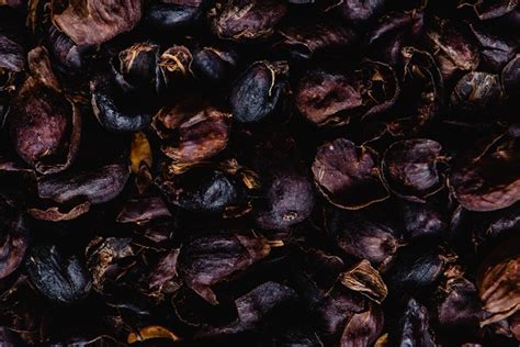 La Cáscara De Café Un Valor En Alza Gracias A Su Sorprendente Sabor