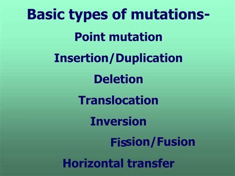Ppt Types Of Cell Division Mitosis Body Cell Replication Meiosis
