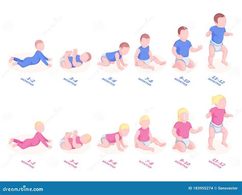 Cronograma Ilustraciones Stock Vectores Y Clipart 1263