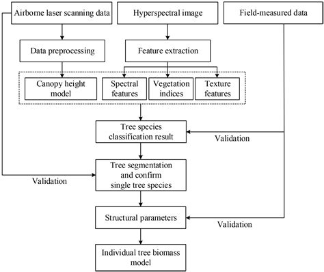 Tree Species Classification And Individual Tree Biomass Model Construction Based On