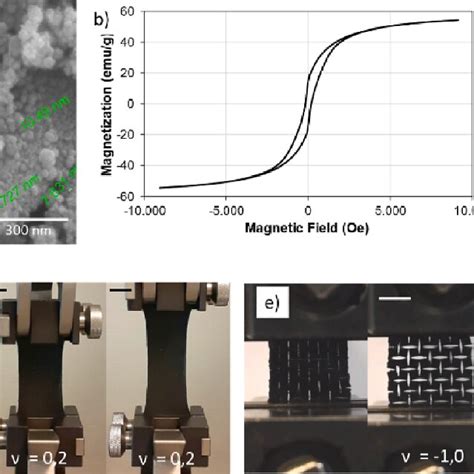 Main Materials Characterization And The Auxetic Behavior Of The