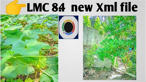 Gcam LMC New Natural Xml File YouTube