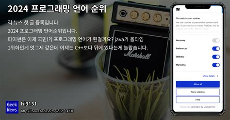 2024 프로그래밍 언어 순위 Geeknews