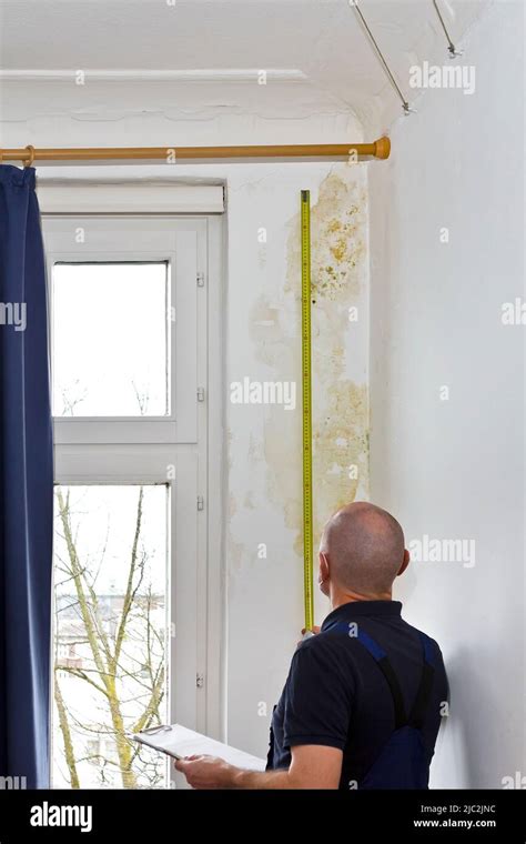 Muffa Esterna Immagini E Fotografie Stock Ad Alta Risoluzione Alamy