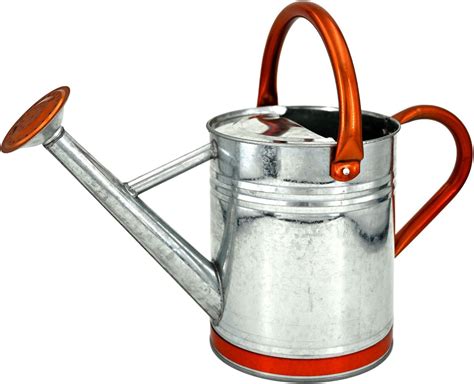Lechloris Metal Watering Can For Outdoor Plants