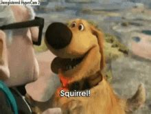 Squirrel Disappear Meme Squirrel Disappear Discover And Share S