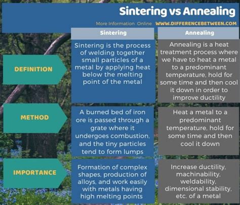 Difference Between Sintering And Annealing Compare The Difference Between Similar Terms