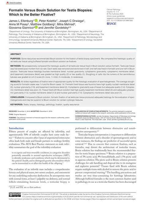 Pdf Formalin Versus Bouin Solution For Testis Biopsies Which Is The Better Fixative
