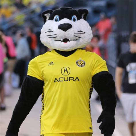 S C Mascot Hall Of Fame