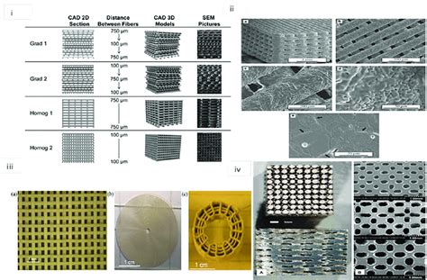 I Three Dimensional Plotted Scaffolds With Controlled Pore Size Download Scientific Diagram