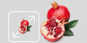 How To Resize A Selection In Photoshop 2 Easy Steps