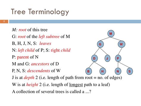 Ppt Trees Powerpoint Presentation Free Download Id3361944