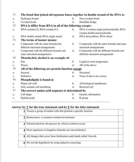 11 The Bond That Joined Nitrogenous Bases Together