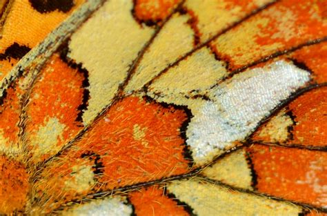 texture recognition model by clarifai clarifai the world s ai