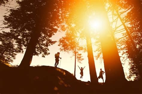 What To Do In The Countryside Top Activities And Tips