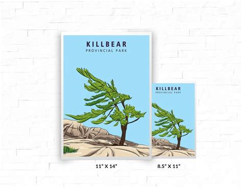 Killbear Provincial Park Iconic Tree Poster Poster Custom Posters