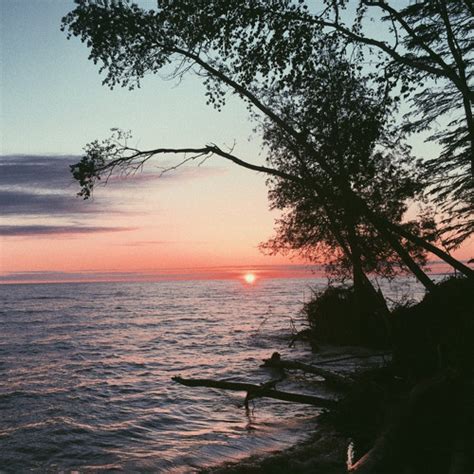 Stream Aleister In Wonderland By Jaydon Wilson Listen Online For Free On Soundcloud