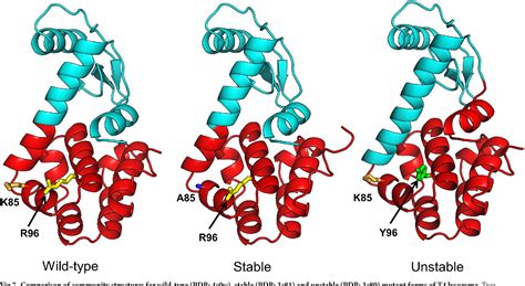 Figure 7 From Protein Dynamic Communities From Elastic Network Models Align Closely To The