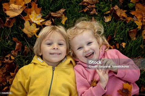 귀여운 금발 유아 어린이 소년과 소녀 일몰에 가을 공원에서 산책 아름다운 자연을 즐기는 2명에 대한 스톡 사진 및 기타 이미지 2명 가을 가을 단풍 Istock