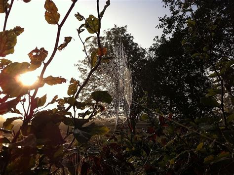 Deepak Wadhwa David On Linkedin From Concept To Code Leading Web