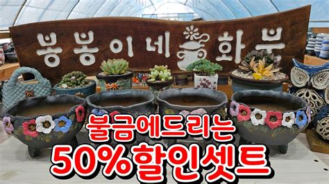 8월30일 봉봉이네화분 수제다육공방분 불금에드리는50할인셋트 Youtube
