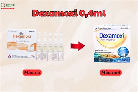 Thuốc Nhỏ Mắt Dexamoxi 04ml điều Trị Nhiễm Trùng Mắt Sau Phẫu Thuật