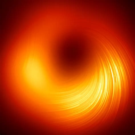 Black Hole Magnetic Field