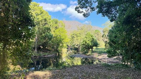 Mt Lion Farm Secluded Creek Camping Hipcamp In Lynchs Creek New