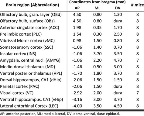 Stereotaxic Coordinates And Sample Size Download Scientific Diagram