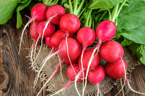 Radish Health Benefits Nutrition And Uses Yummieliciouz