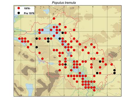 Bsbi Populus Tremula