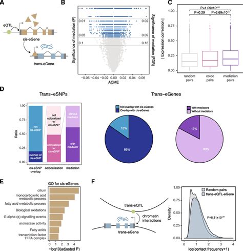 Cis Mediation And Inter Chromosomal Interactions Explain Candidate