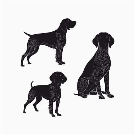 German Shorthaired Pointer Silhouette Vector Template Illustration