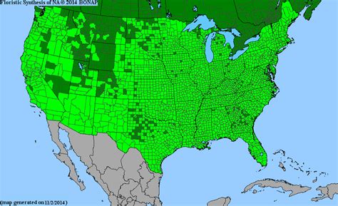 2013 Bonap North American Plant Atlas Taxonmaps