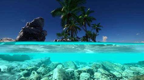 Live Wallpaper Beach Stock Video Footage For Free Download
