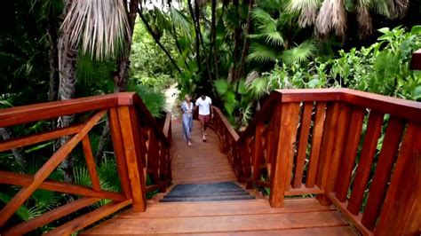 Deluxe Treehouse Tour YouTube Deluxe Treehouse Tour YouTube