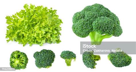 상 추 샐러드와 녹색 브로콜리로 만든 창조적 인 레이아웃 흰색 배경에 고립 된 신선한 야채입니다 평평한 누워 음식 개념입니다 건강한 생활방식에 대한 스톡 사진 및 기타