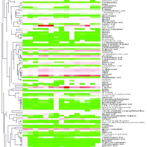 Heatmap And Hierarchical Cluster Analysis For The 197 Metabolites Found Download Scientific