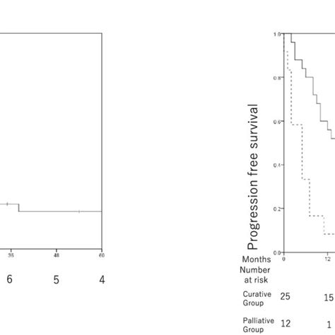 Kaplan Meier Curves Showing Local Control Among Patients Who Underwent Download Scientific