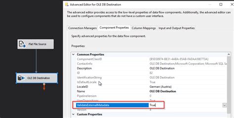 execute ssis dtsx without validation erhard rainer