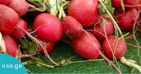 აი რატომ უნდა გქონდეთ ბევრი ბოლოკი სახლში გაიგეთ მისი სასარგებლო თვისებების შესახებ Vau Ge