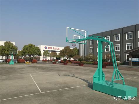 赛德美 知乎