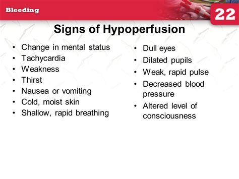22 Bleeding Cardiovascular System Anatomy Of The Cardiovascular System The Cardiovascular
